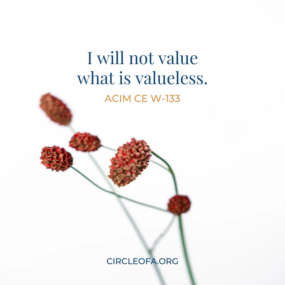 Lesson 133: I will not value what is valueless.