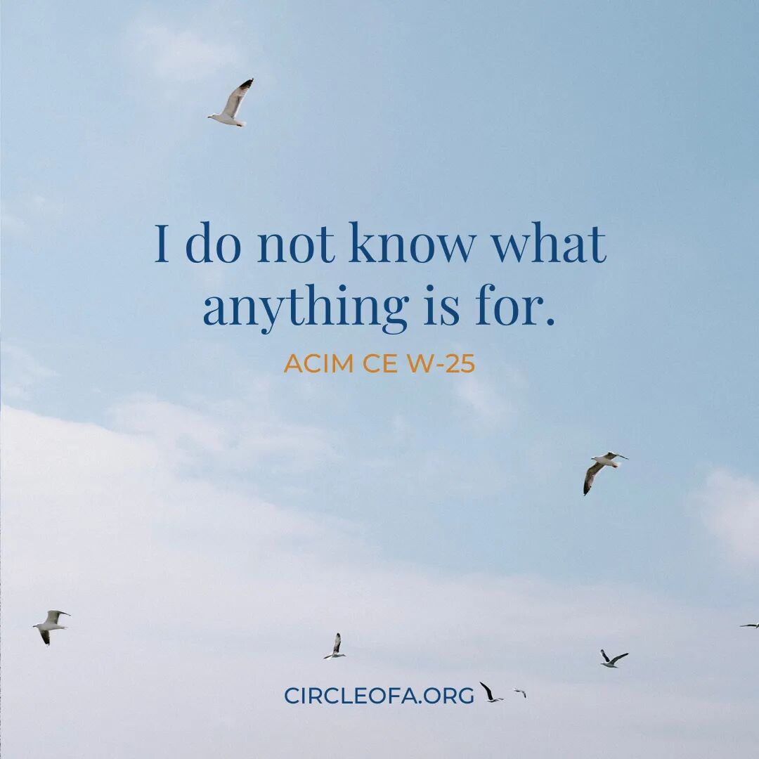 Lesson 25: I do not know what anything is for.